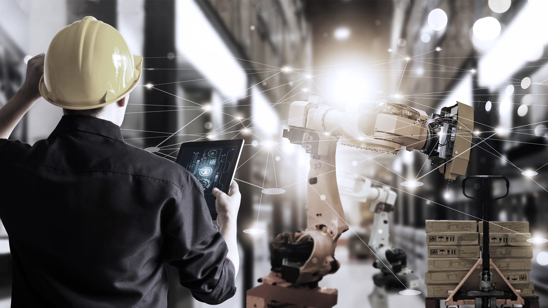 AI & Automation: Real Tips From Real CEOs