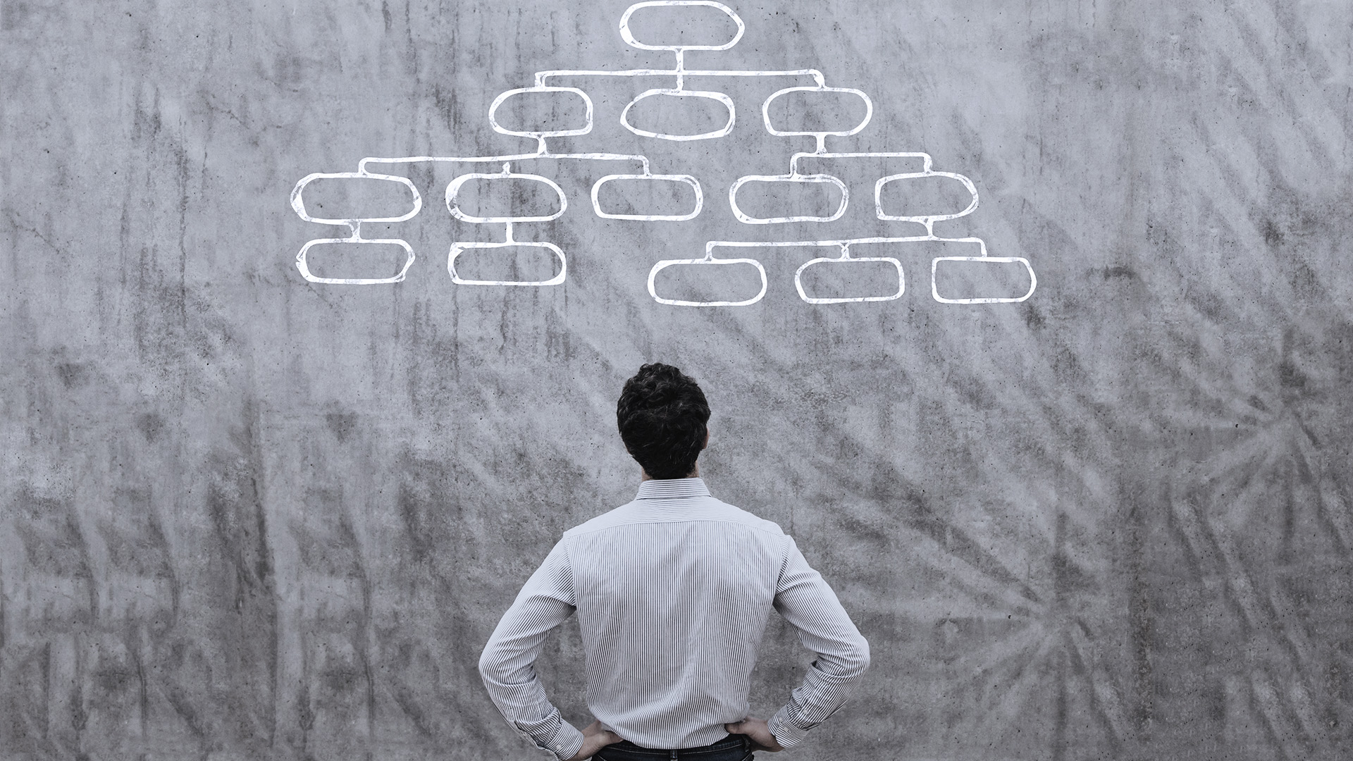 Should They Stay or Go? How New CEOs Decide the Fate of Their Senior ...
