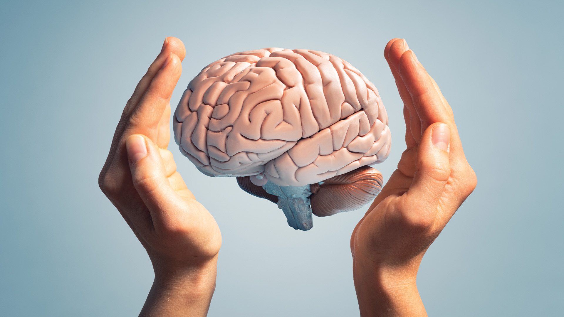 A Culture of Vulnerability: 4 Levels of Psychological Safety That Can ...