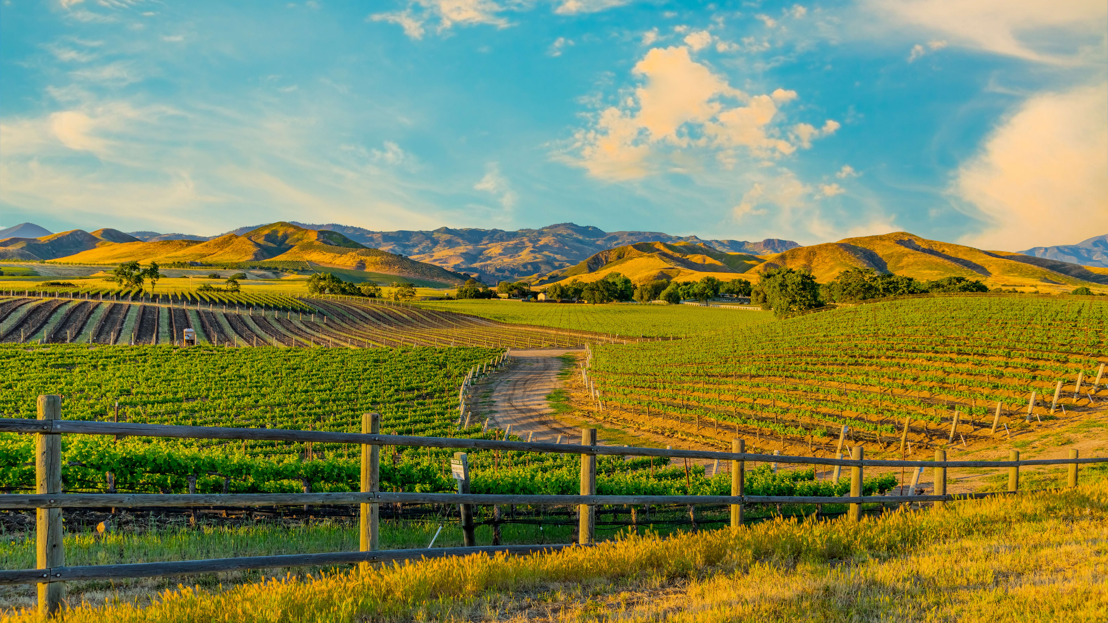 5 Tips for California Agricultural Employers