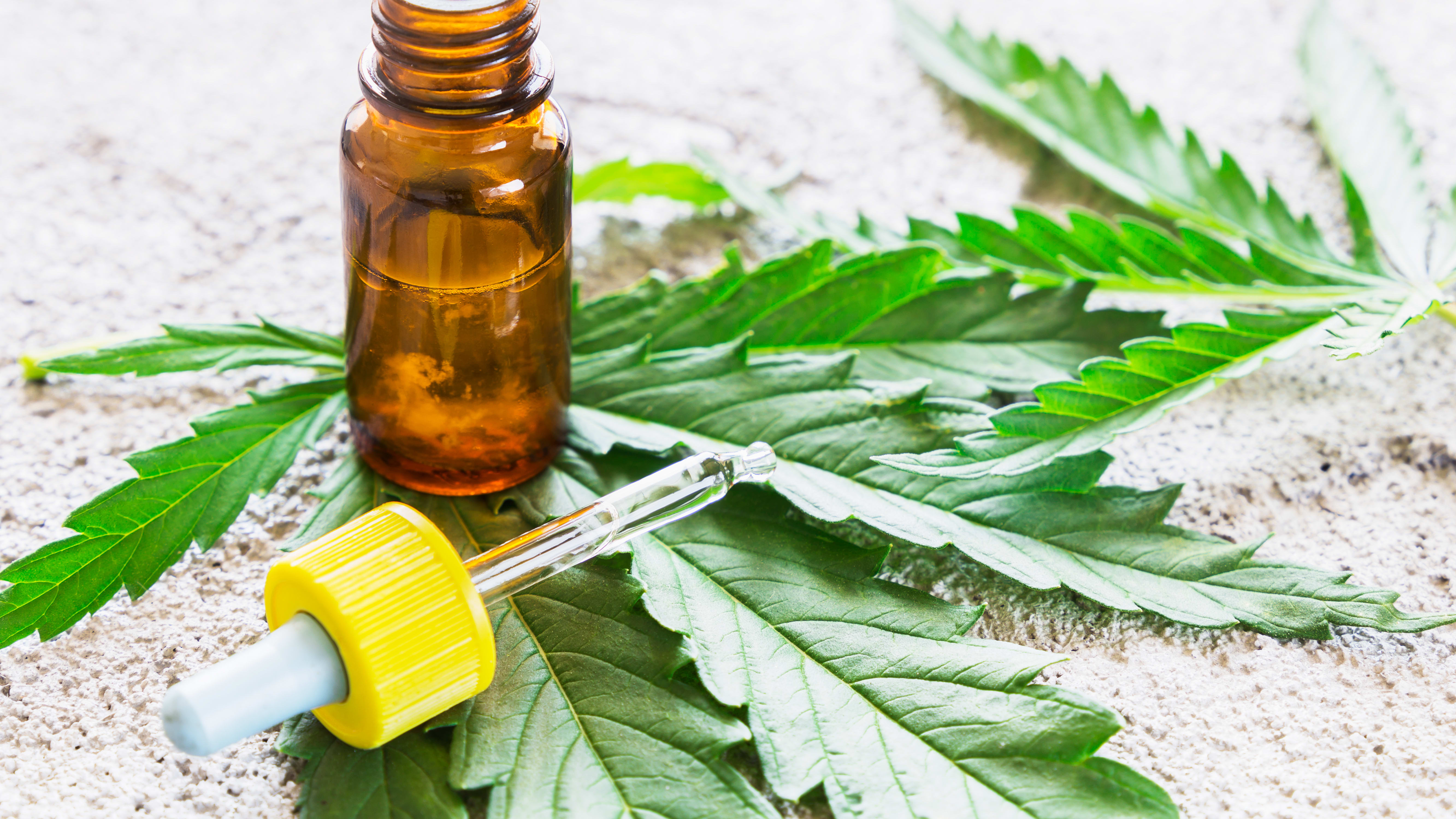 Weed at Work: Is Cannabis Covered Under State Benefit Programs?