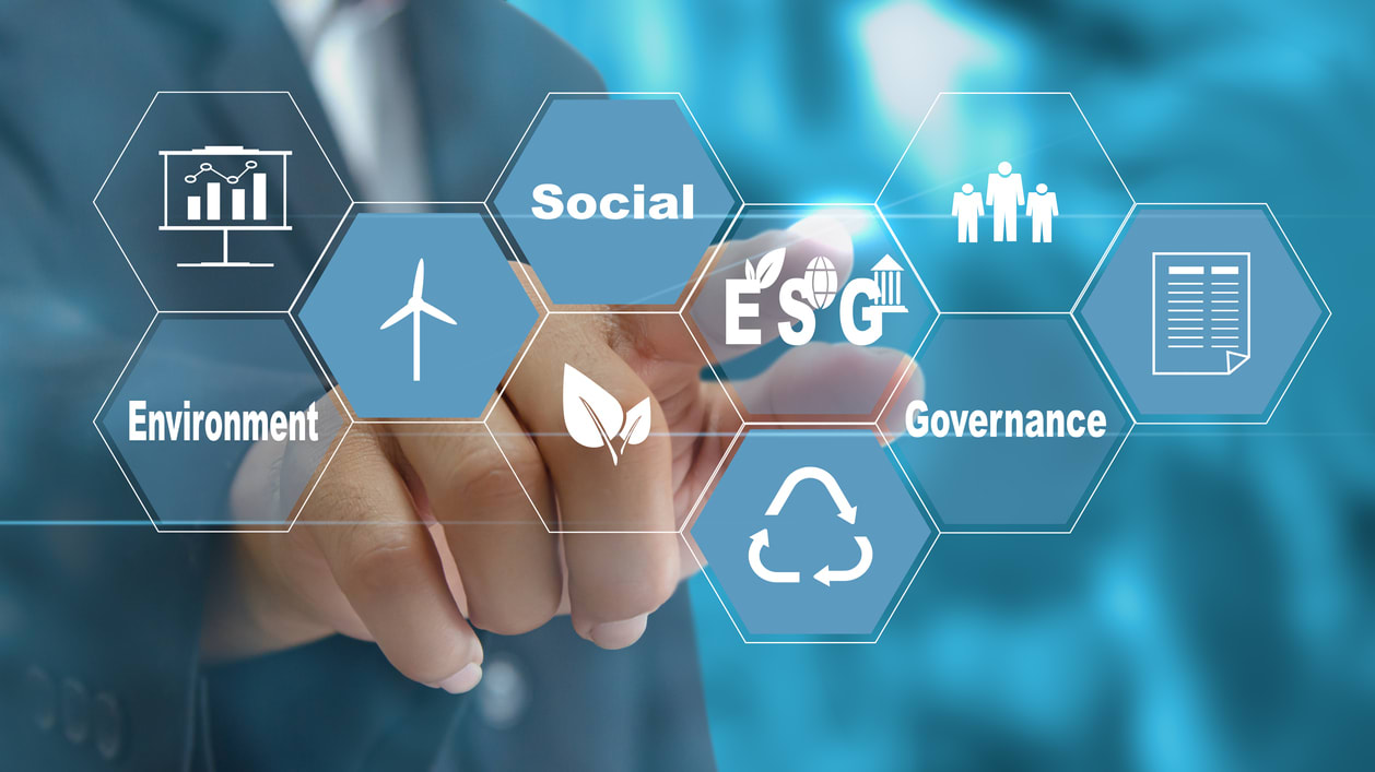 Survey: ESG Strategies Rank High with Gen Z, Millennials